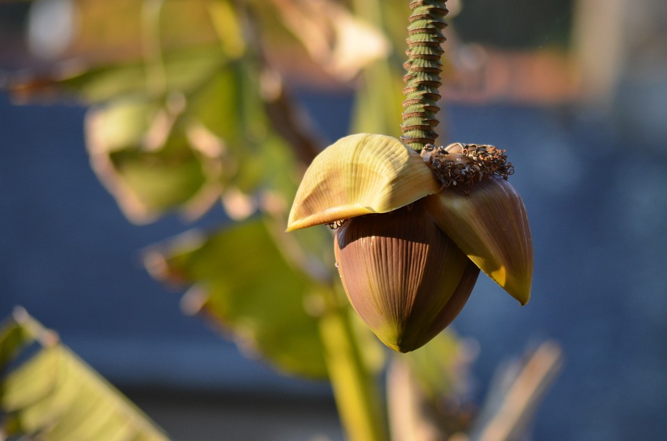 The Importance Of Safeguarding Sensitive Information In The Digital Age — Saigon Blogger